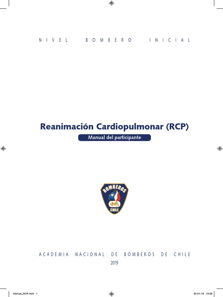 Manual RCP | PDF