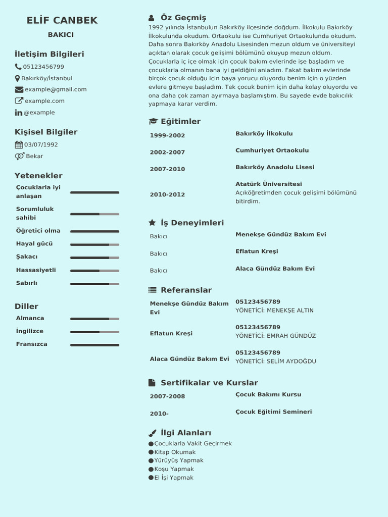 Örnek CV 32 cv16-4 | PDF
