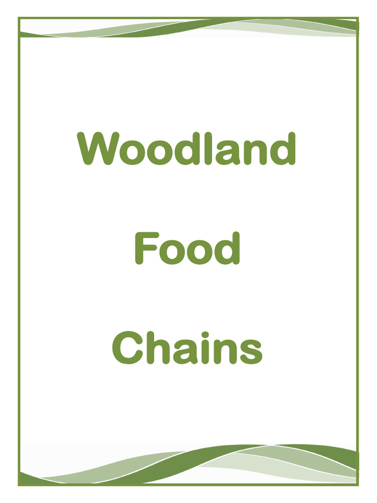 Woodland Food Chain Game | PDF | Predation | Foods