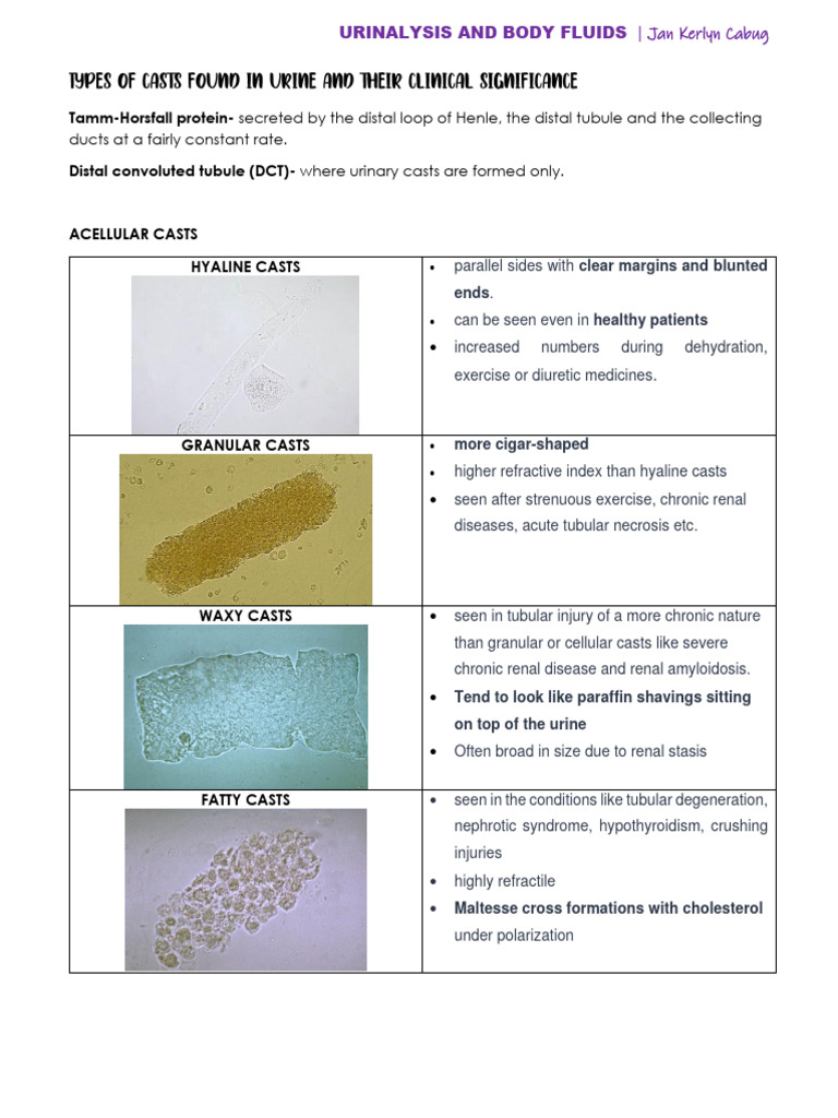 Types of Casts Found in Urine and Their Clinical Significance | PDF