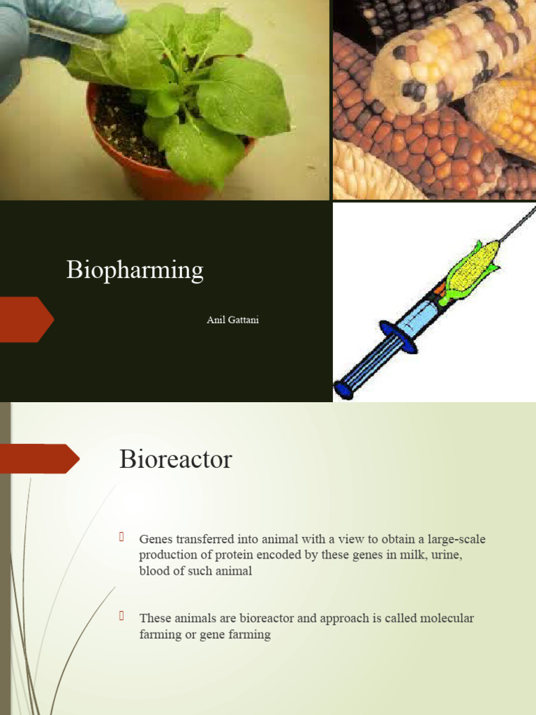 Biopharming | PDF
