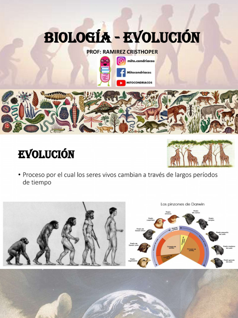 13-Evolución y Origen de Los Seres Vivos | PDF