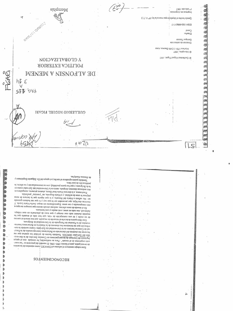 Figari - de Alfonsin a Menem | PDF