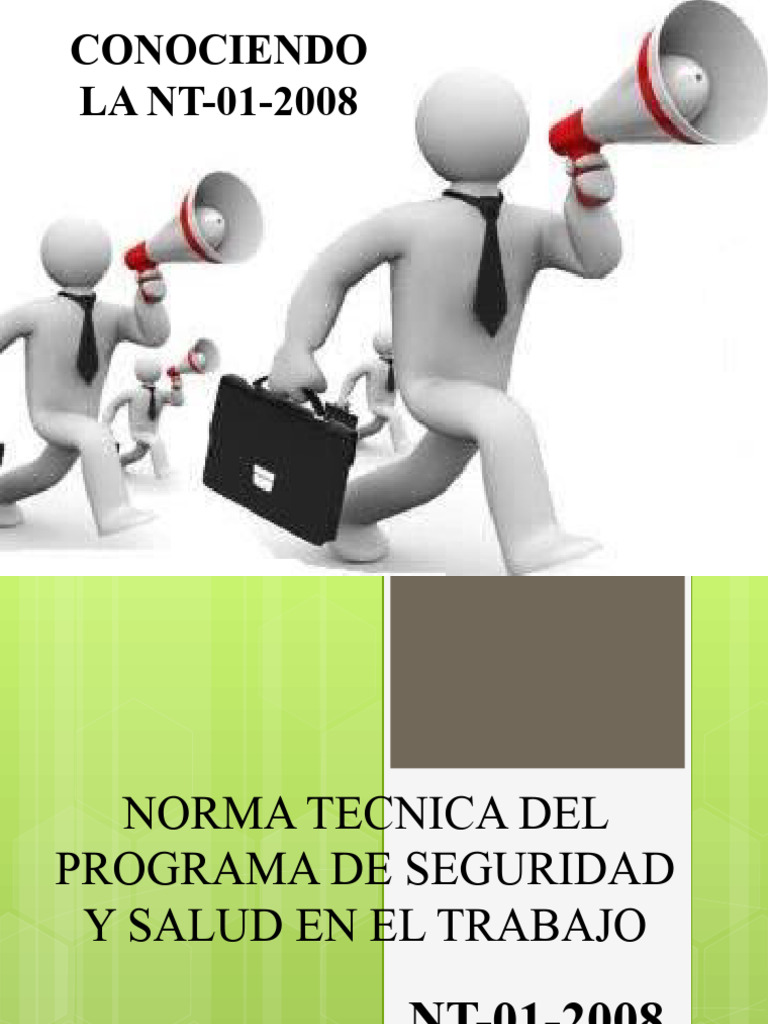 DIAPOSITIVA DE LA NORMA TECNICA Parte 1 | PDF