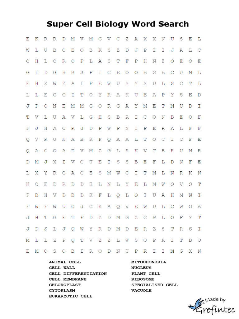 Cell Biology Word Search | PDF