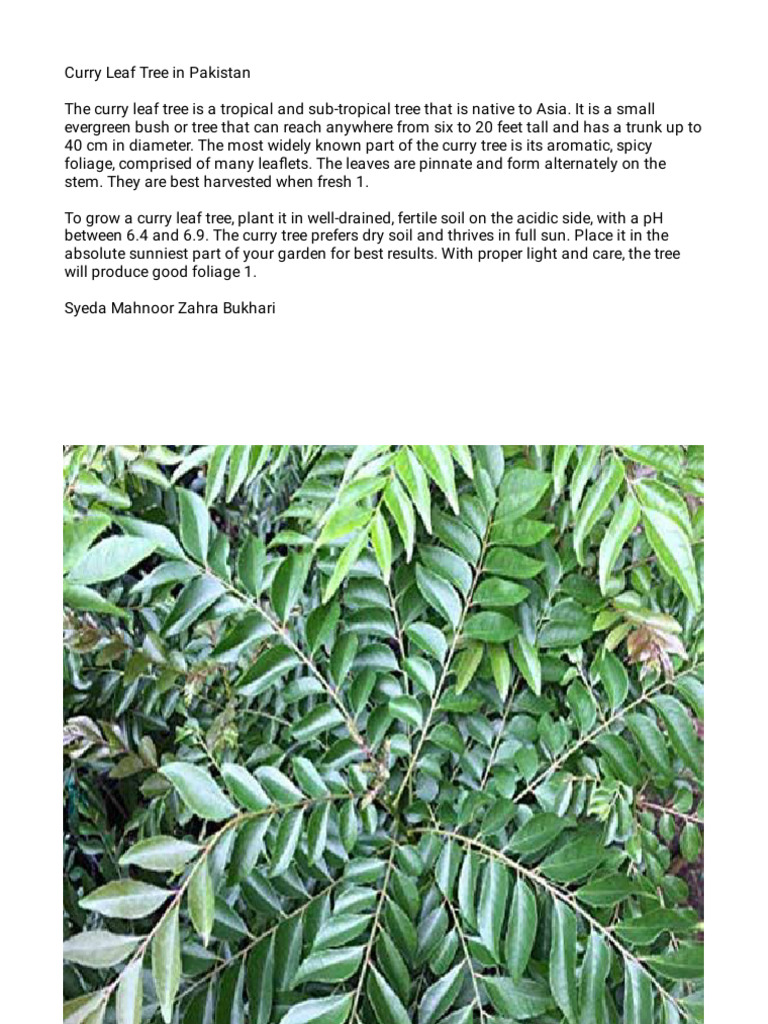 Plants of Pakistan | PDF