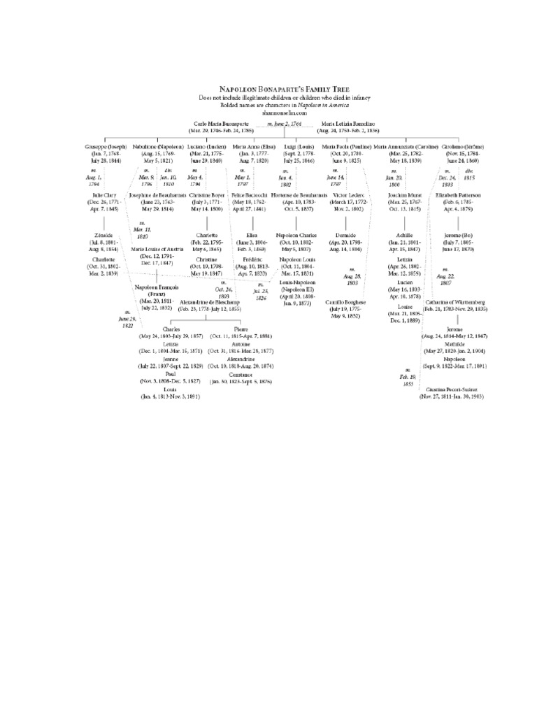 Napaleon's Family Tree | PDF