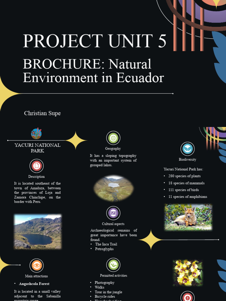 Project 5 - English | PDF