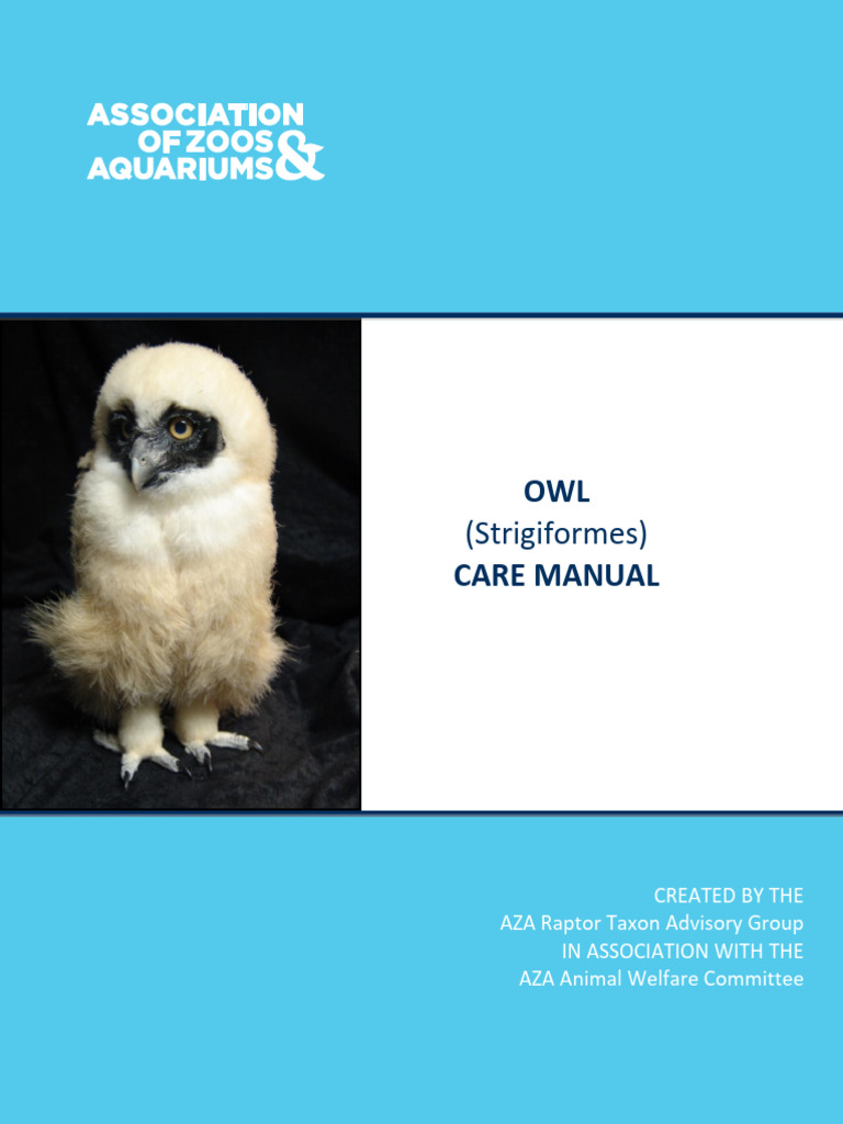 Owl Care Manual 2022 | PDF