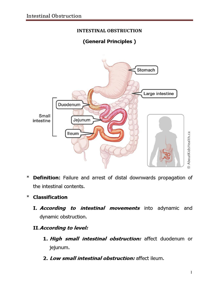 Intestinal Obstruction | PDF