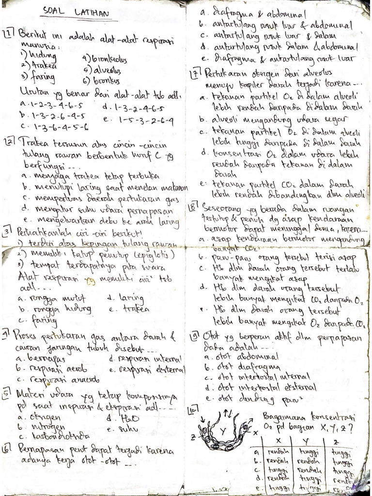 Lat Soal St. Pernapasan | PDF