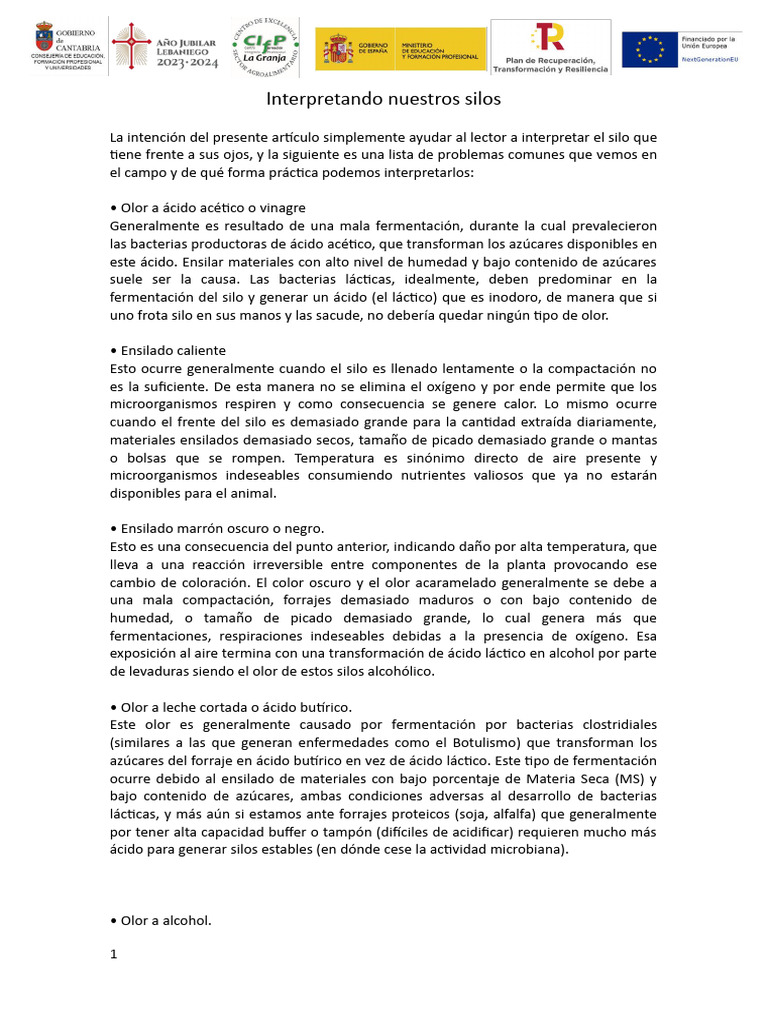 Interpretando Nuestros Silos | PDF