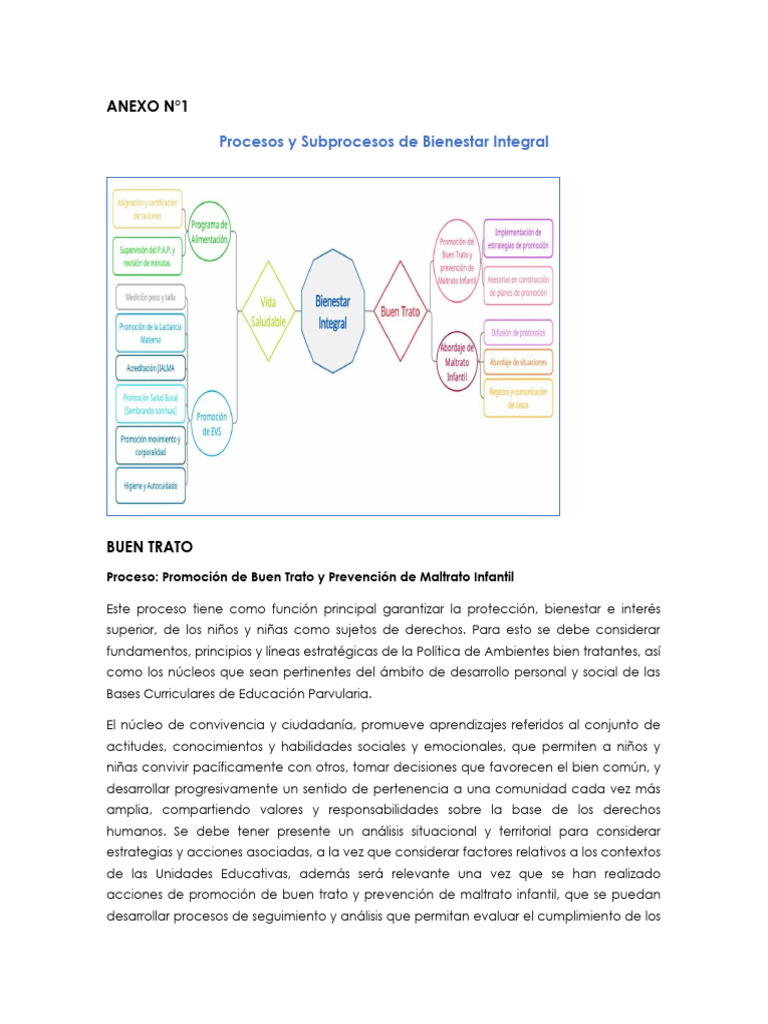 Anexo N°1 Procesos y Subprocesos de Bienestar Integral | PDF