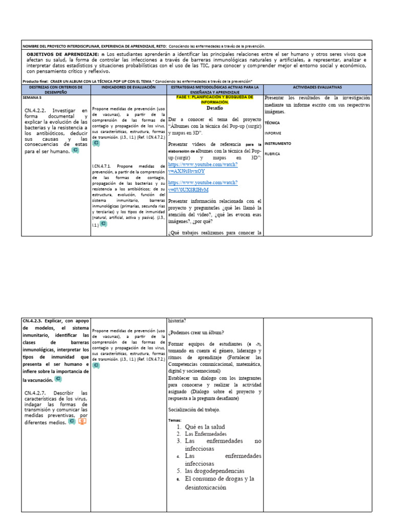 Proyecto 1 Fase-Ccnn | PDF