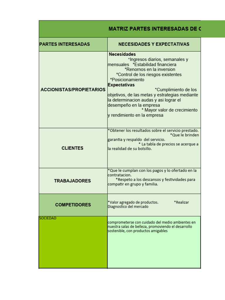 Matriz de Partes Interesadas Ok | PDF | Business | Planificación
