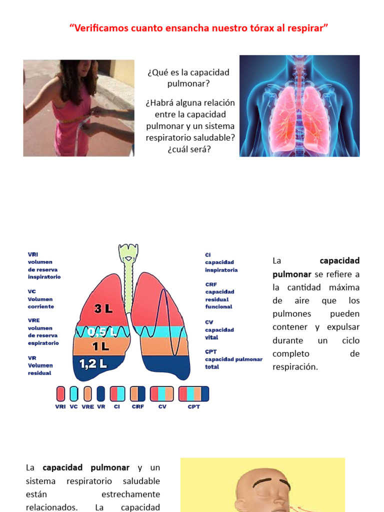 Exp4 Act5 CT 2° | PDF