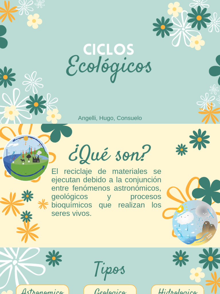 Ciclos Ecologicos | PDF | Ciencia y matemáticas