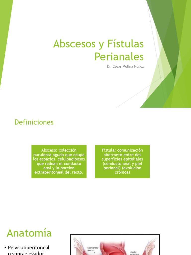Abscesos y Fístulas Perianales | PDF