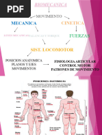 Biomecanica Sistema de Palancas Que Es Tipos y Conceptos Basicos | PDF ...