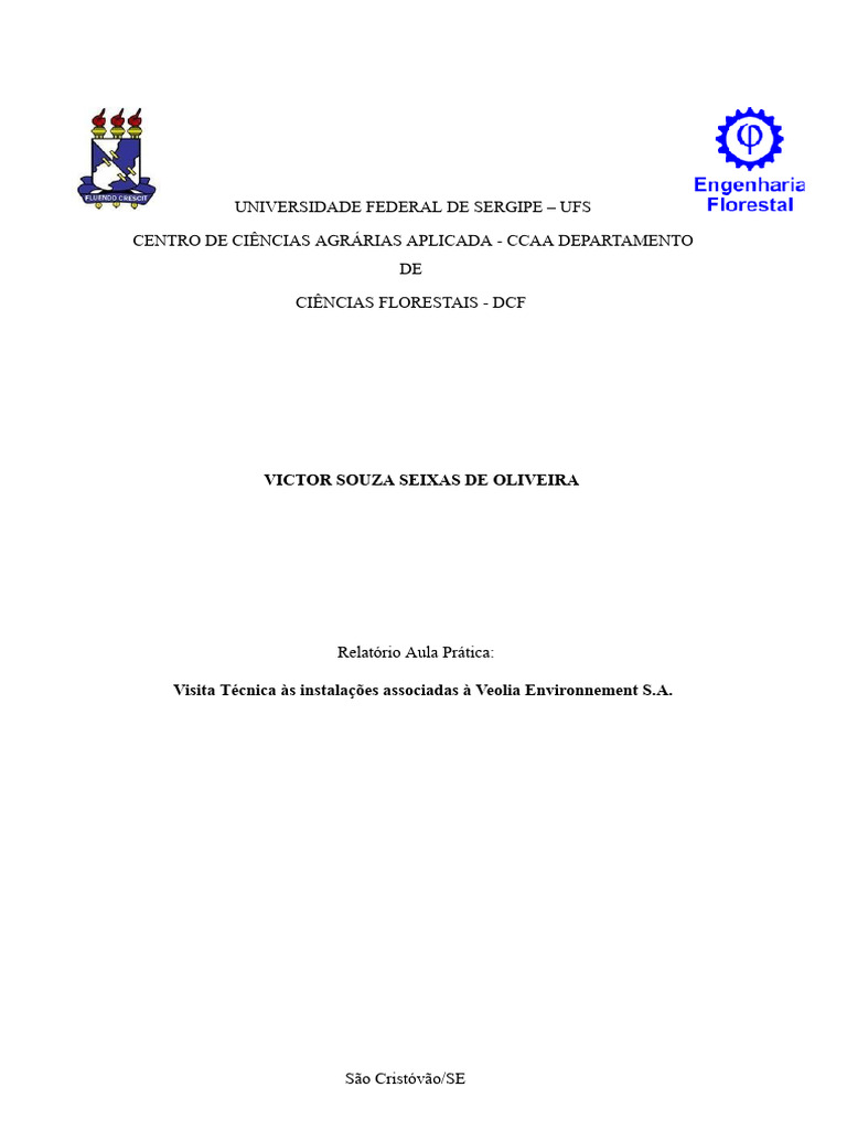 Relatório Victor-2 | PDF