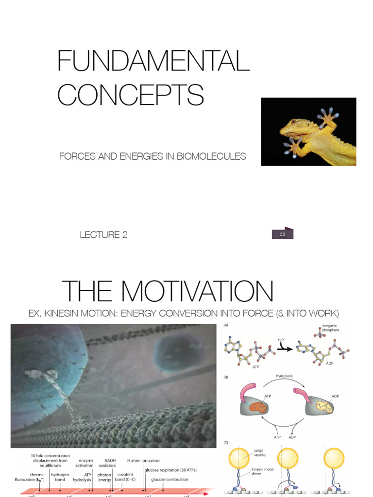 2 Lecture Molecular Biophys | PDF