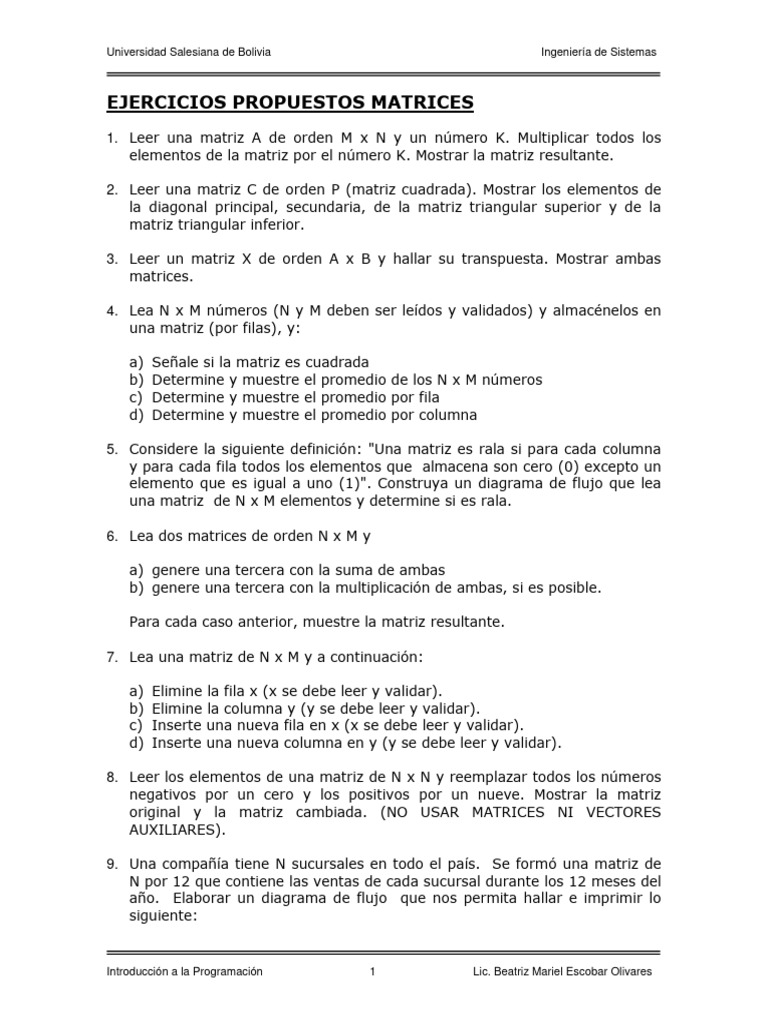 Ejercicios Matrices | PDF