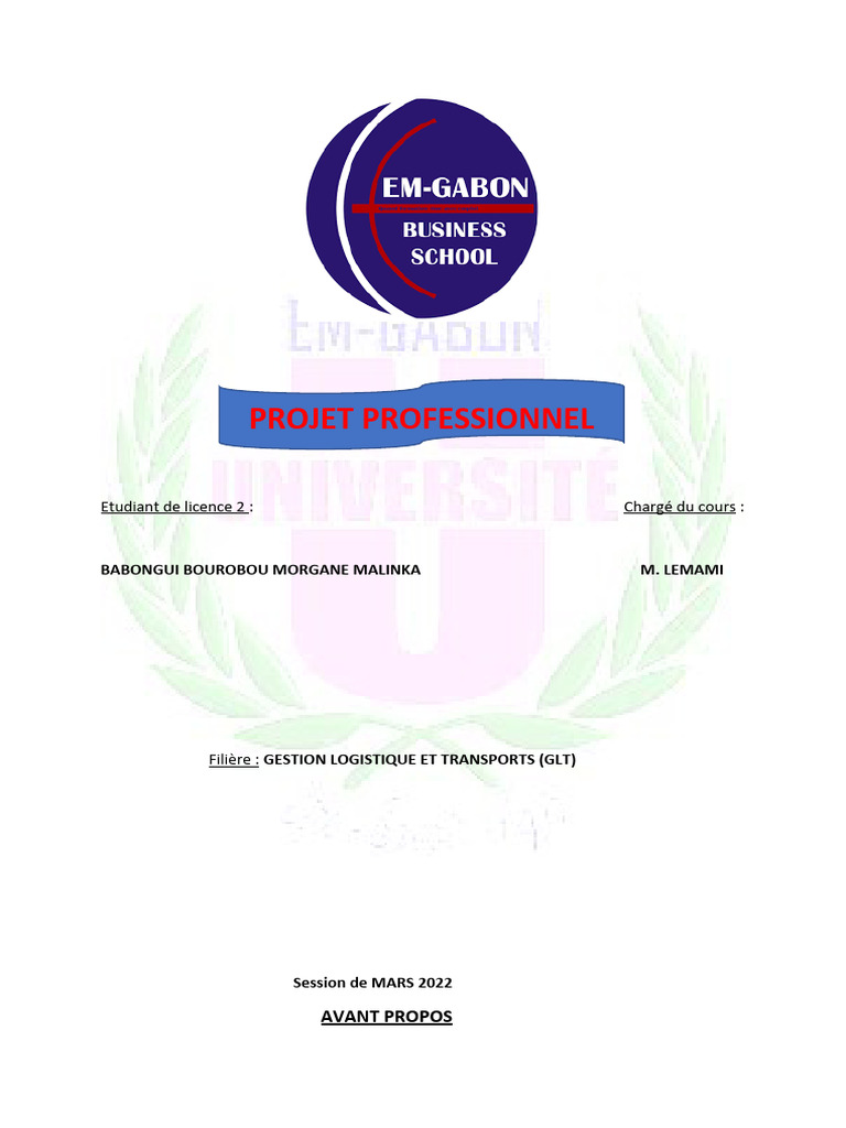 Projet Professionnel Morgane | PDF