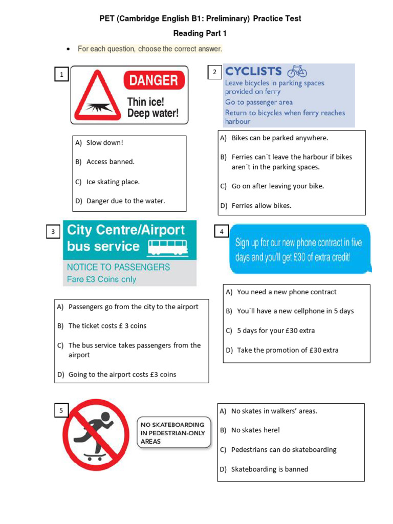 11 Pet Complete | PDF