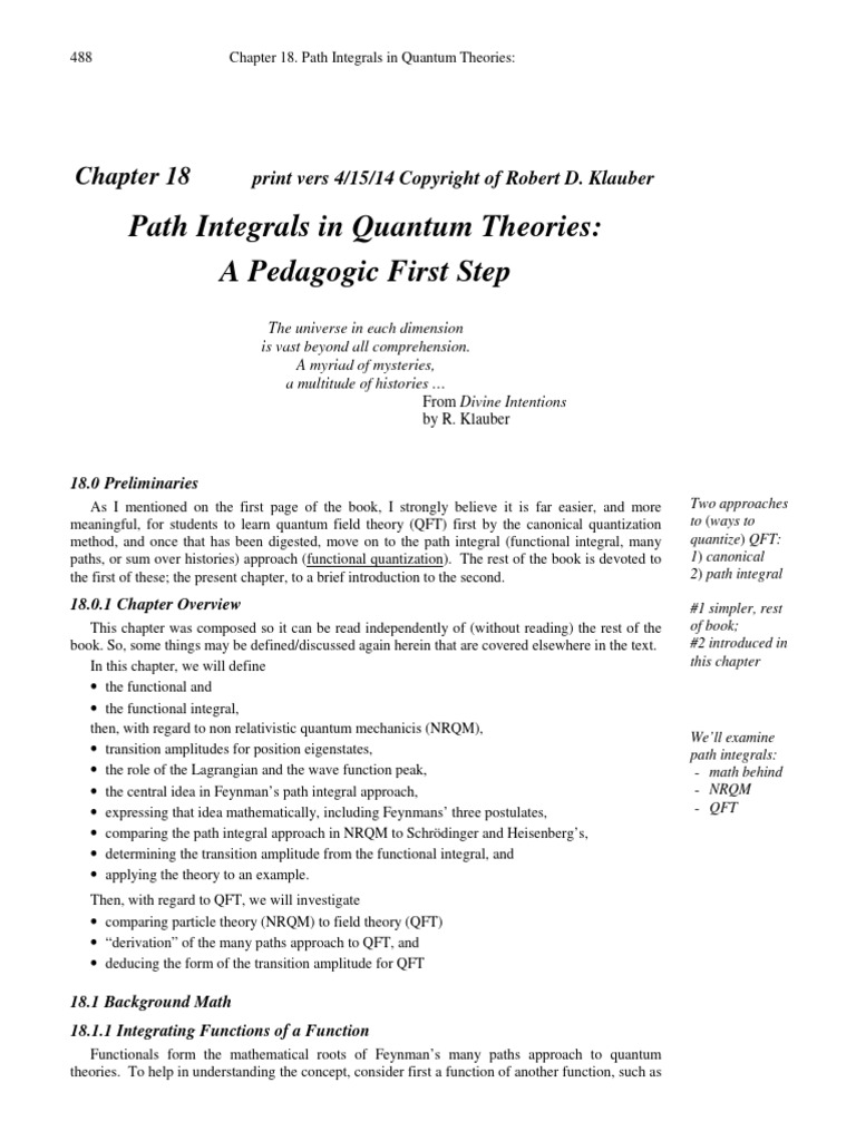 Path Integrals in Quantum Theories | PDF