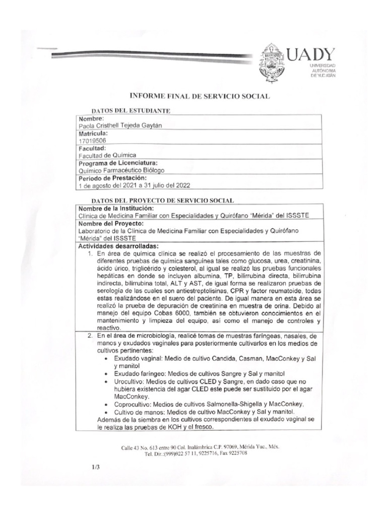 Informe Final | PDF
