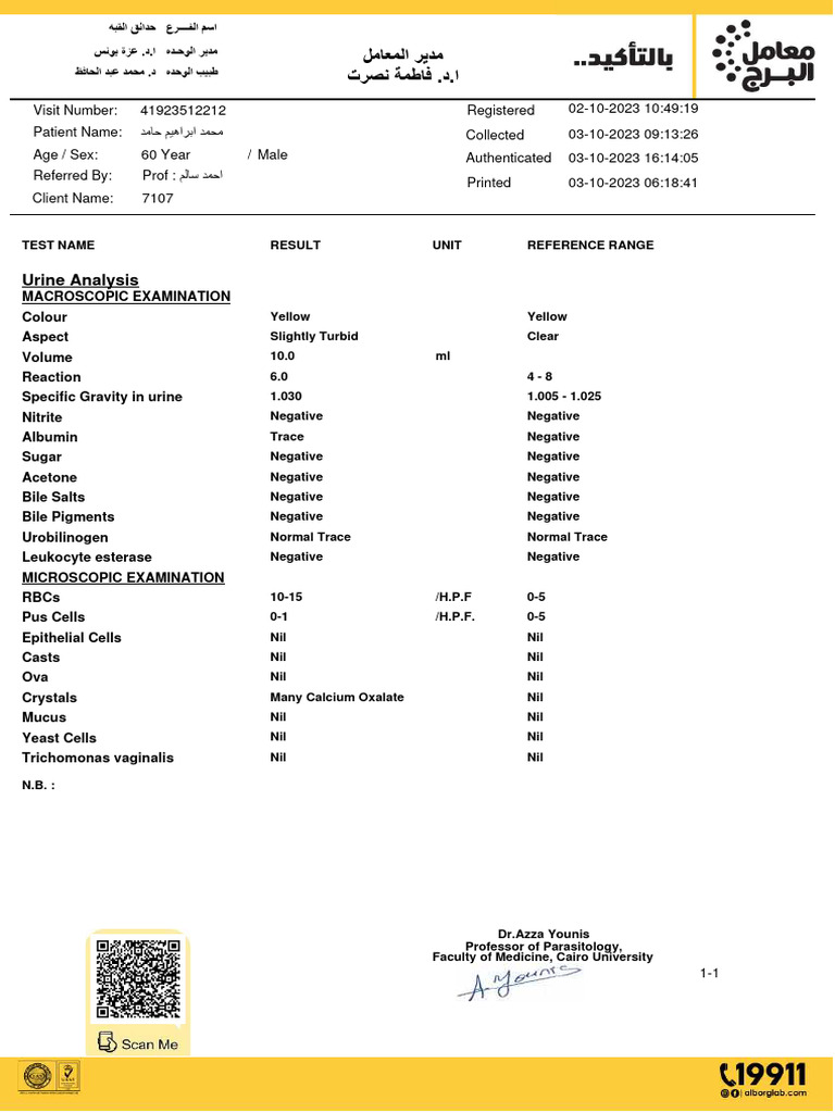 Urine Analysis | PDF