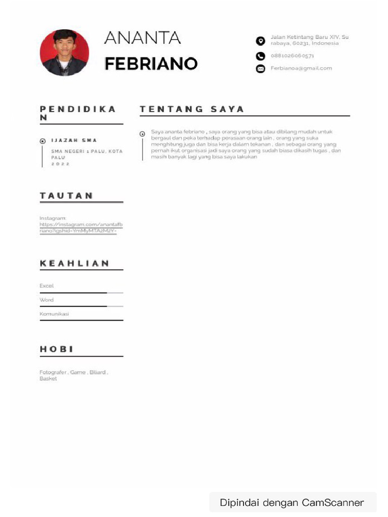 CV Ananta Febriano | PDF