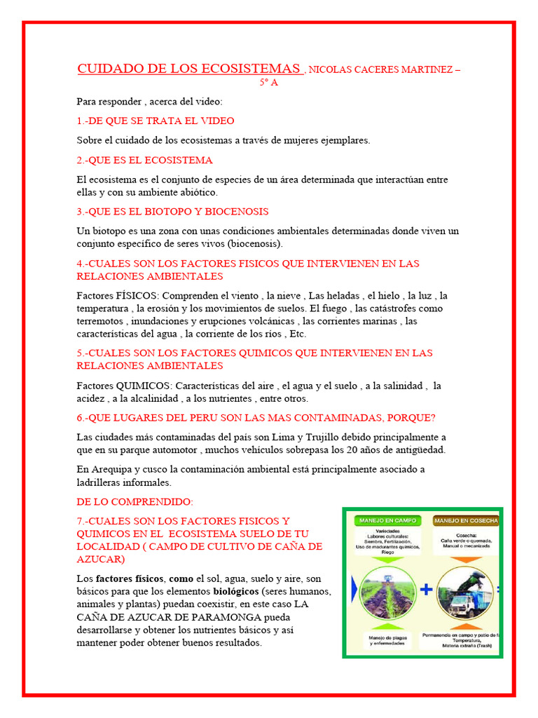 Cuidado de Los Ecosistemas | PDF