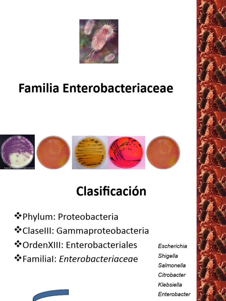 Familia Enterobacteriaceae | PDF | Ciencia y matemática