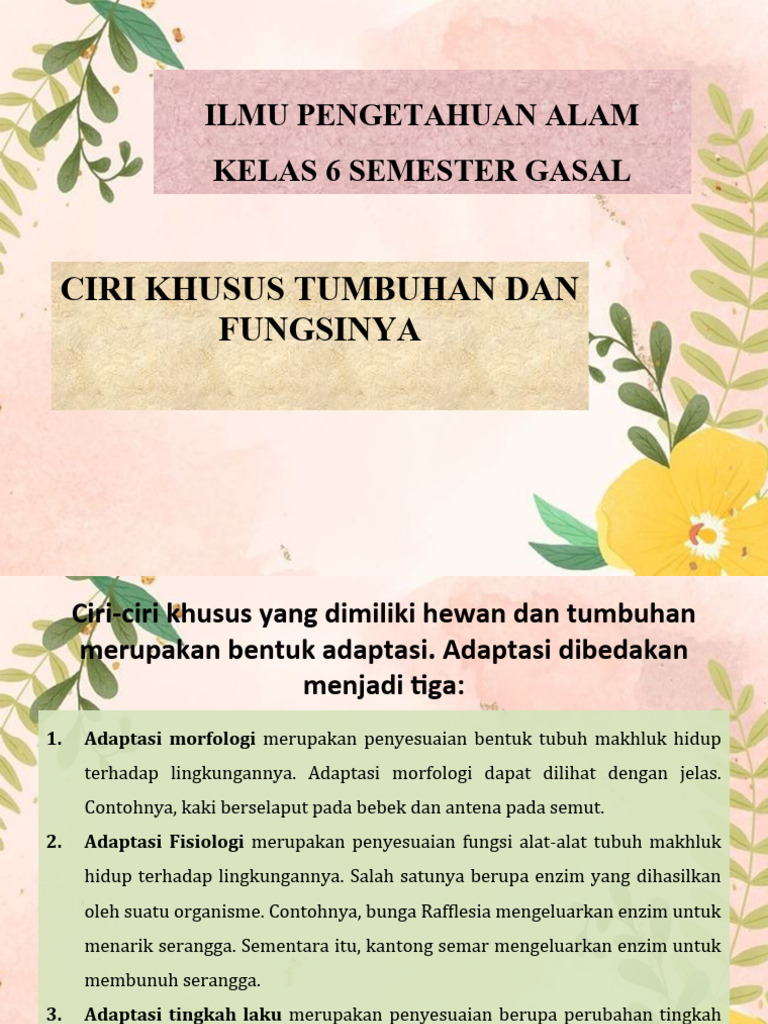 Ciri Khusus Tumbuhan Dan Fungsinya | PDF