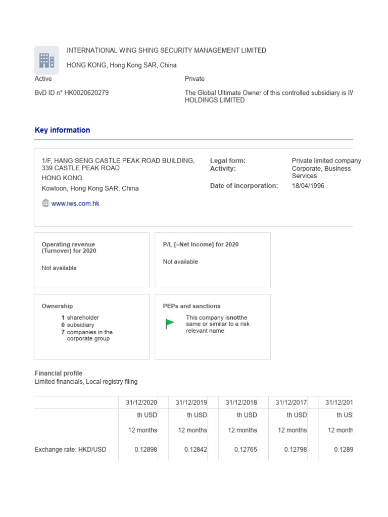 International Wing Shing Security Management Limited | PDF | Revenue ...