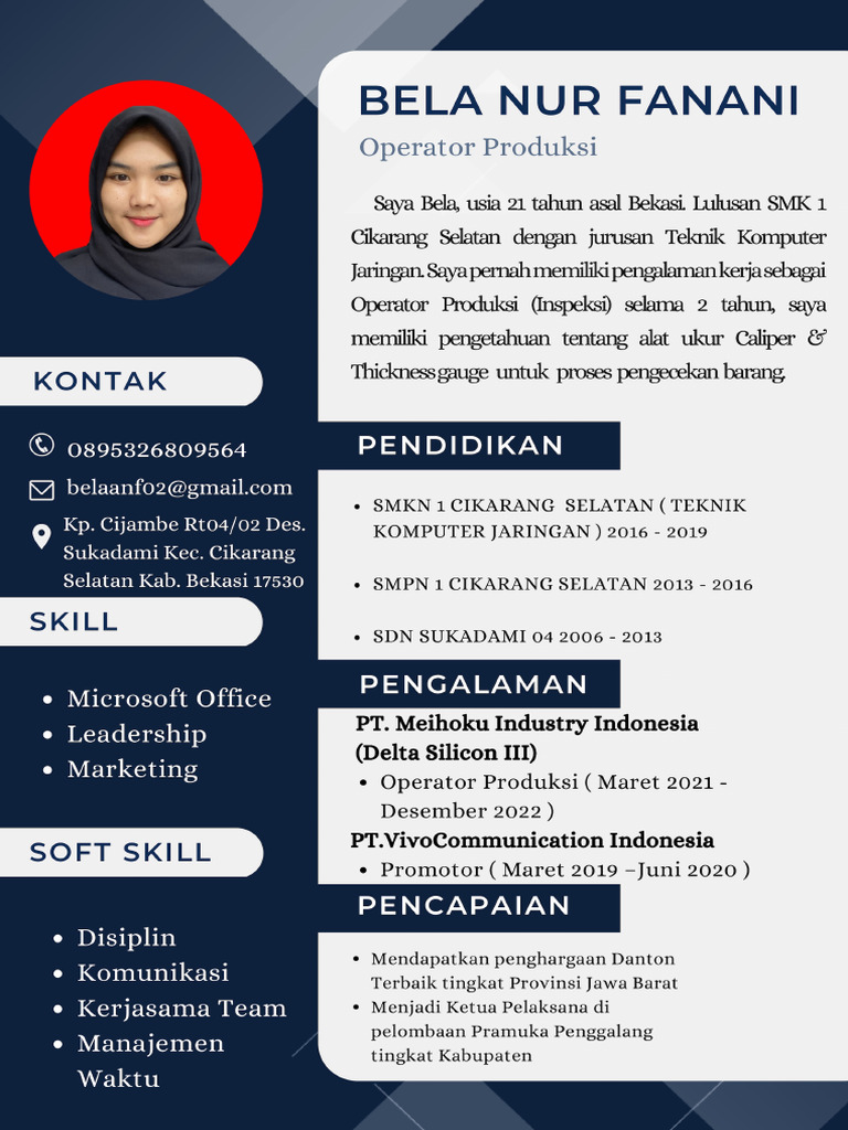 Curiculum Vitae (CV) | PDF