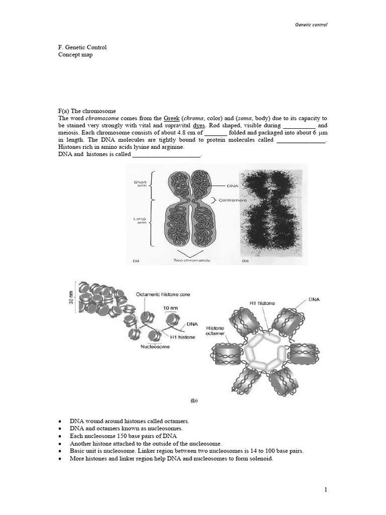 Central Dogma Extra Notes 2019 | PDF