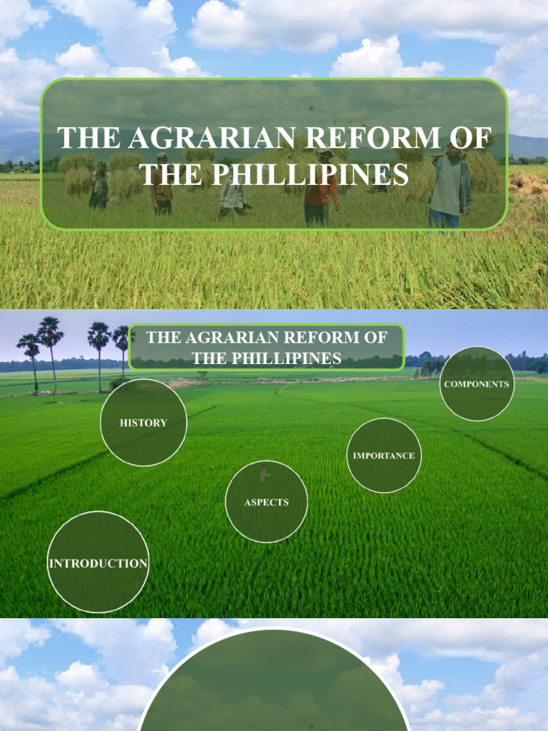 The Agrarian Reform of the Philippines | PDF