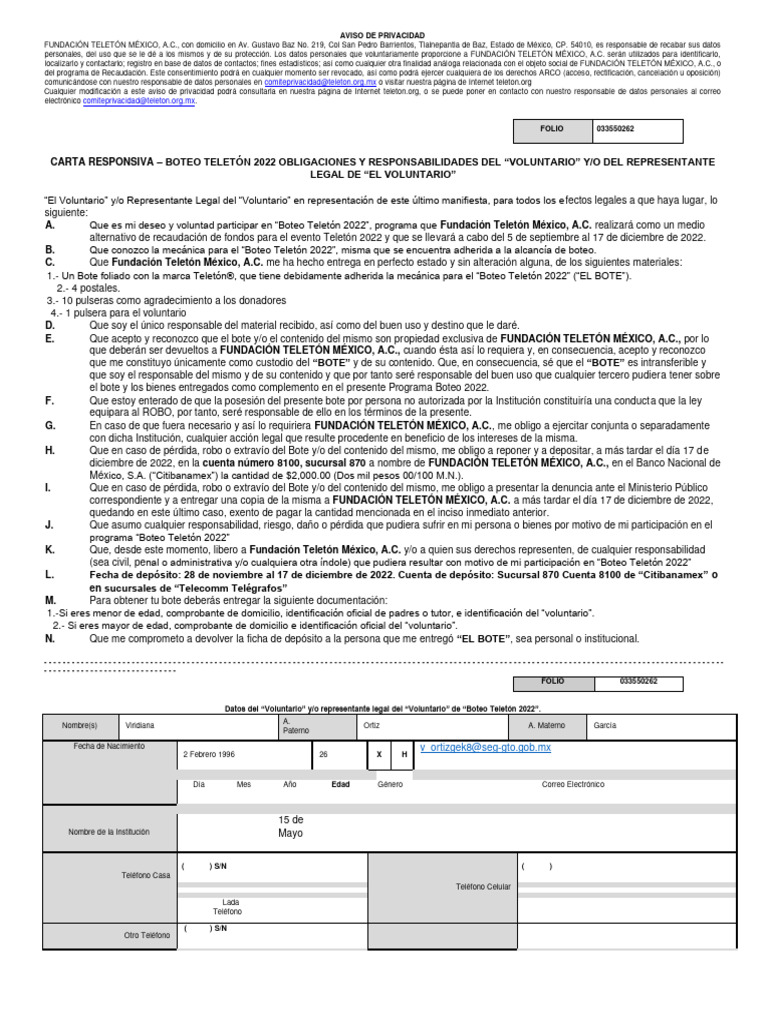 Teletón | PDF | México | Internet