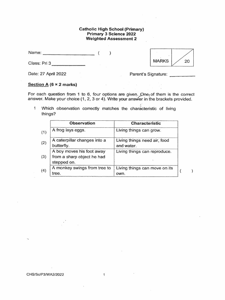P3 Science 2022 CatholicHigh WA2 Papers | PDF