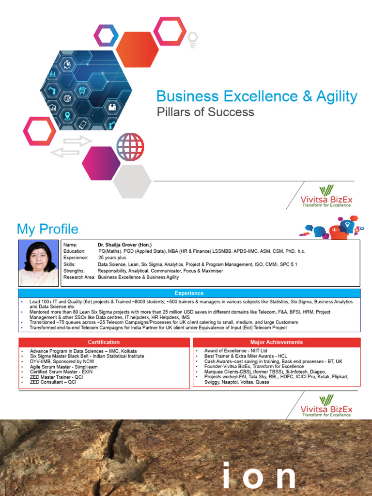 Business Excellence and Agility - Pillars of Success | PDF