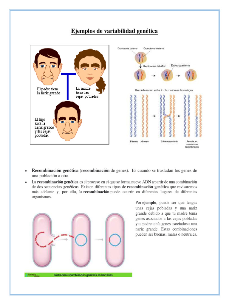 Ejemplos de Variabilidad Genética | PDF | Salud y bienestar | Ciencia y ...
