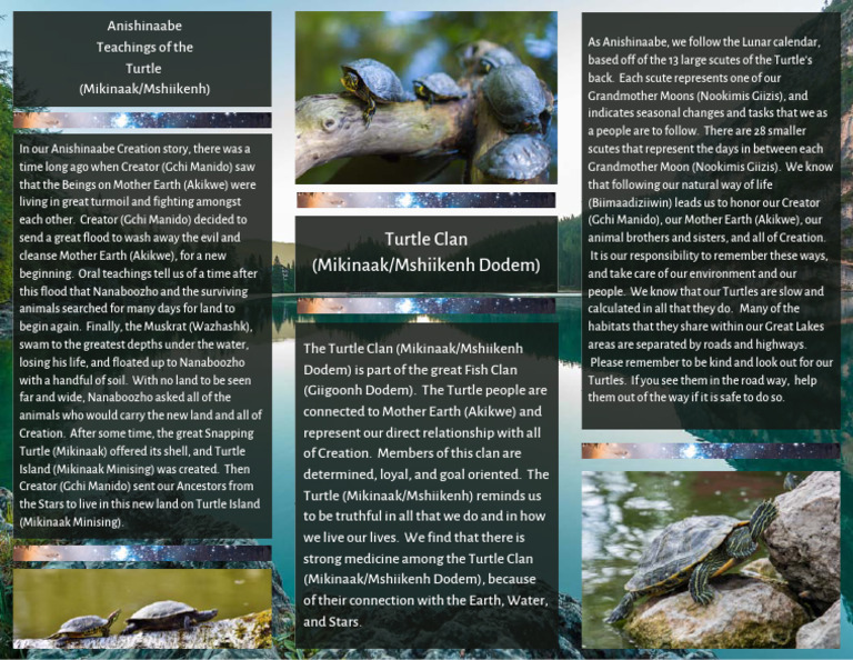 Anishinaabe Teachings of The Turtle Mikinaak | PDF | Turtle