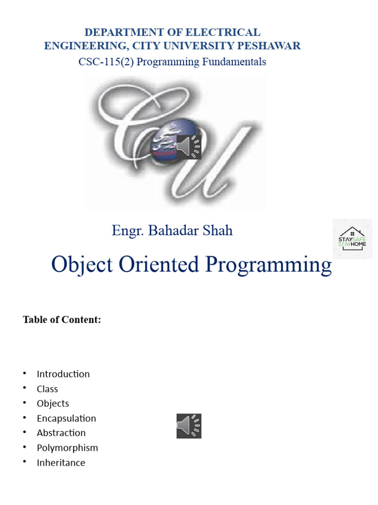 Oop Introduction Lecture Iv Pdf