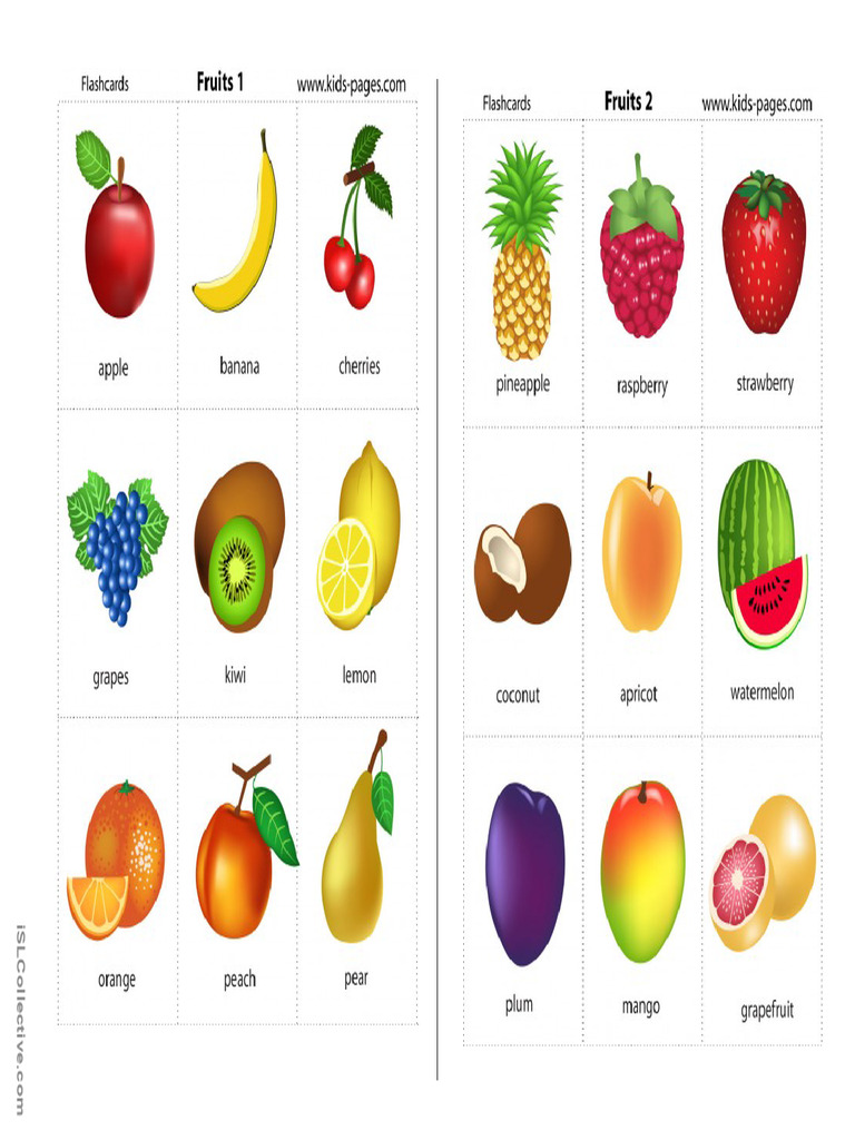 Fruits | PDF | Avocado | Tropical Fruit