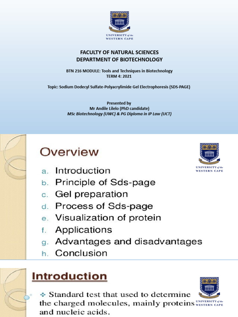 Sds Page | PDF