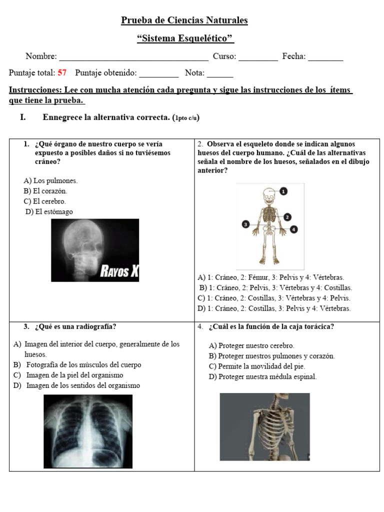 Prueba de Ciencias Naturales Sistema Esqueletico | PDF | Esqueleto | Hueso