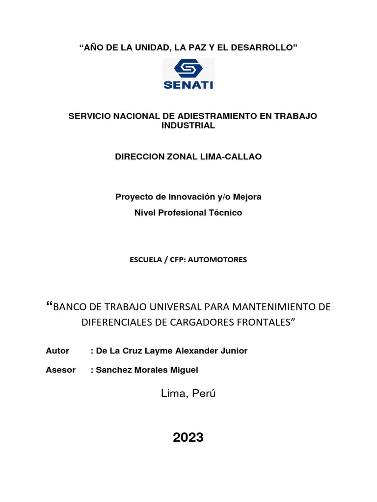 Capitulo 1 y 2 Proyecto Alexander | PDF