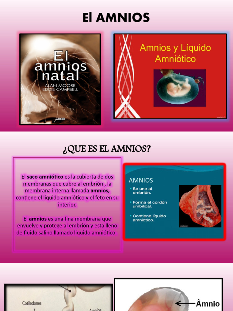Biologia El Amnios | PDF